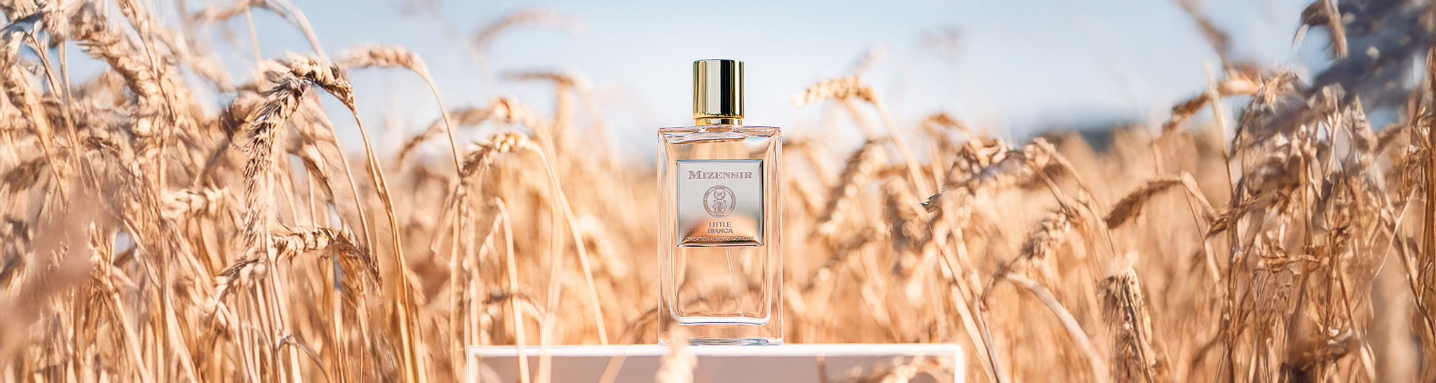 Summer fragrances | Creations by Alberto Morillas | Mizensir