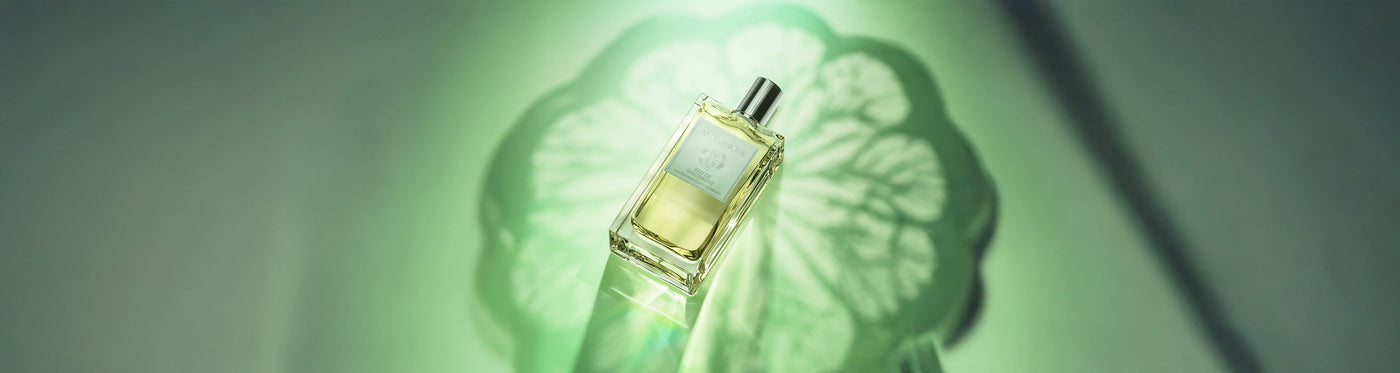 Spring fragrances | Creations by Alberto Morillas | Mizensir
